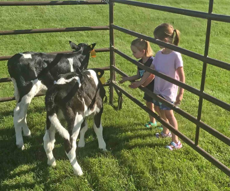 Fillmore County Journal – "Where Fillmore County News Comes First"