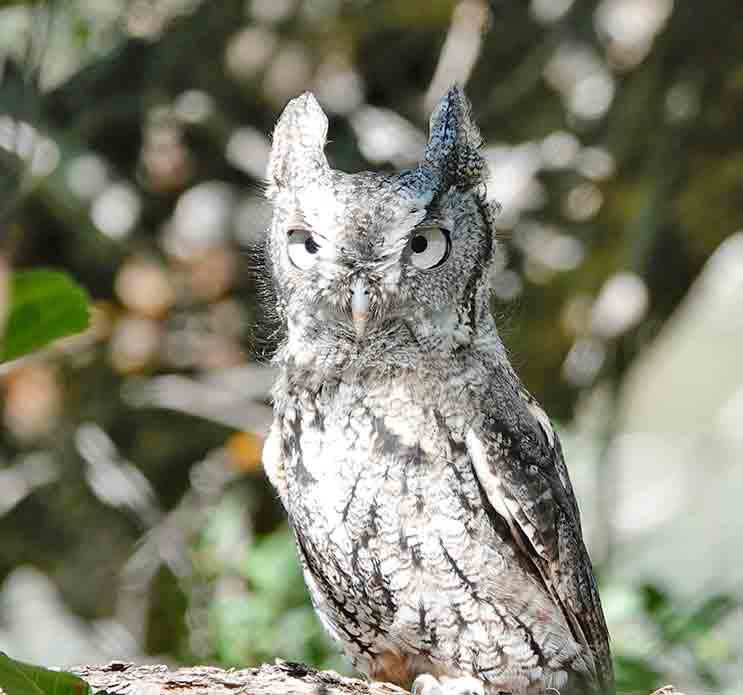 Feel free to sing along even if you’re not in the shower