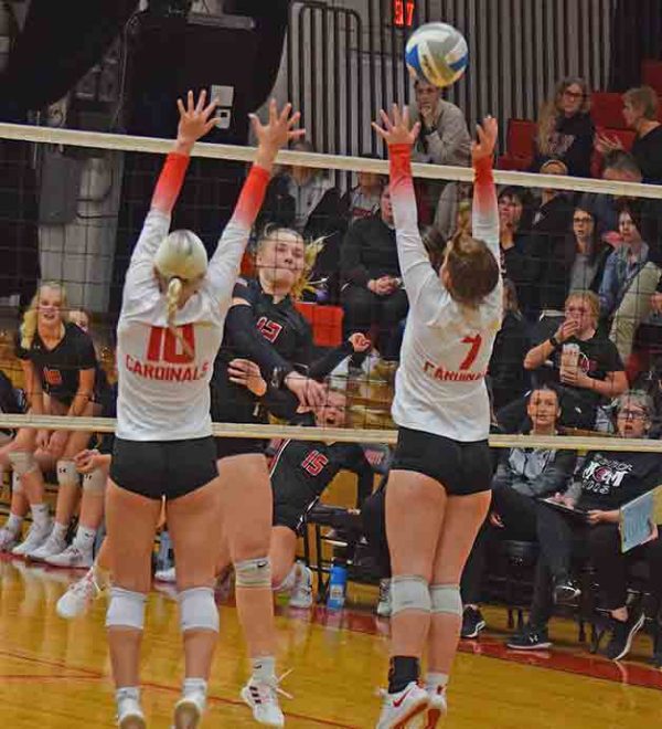 Lion girls collar Cardinals in regular-season finale