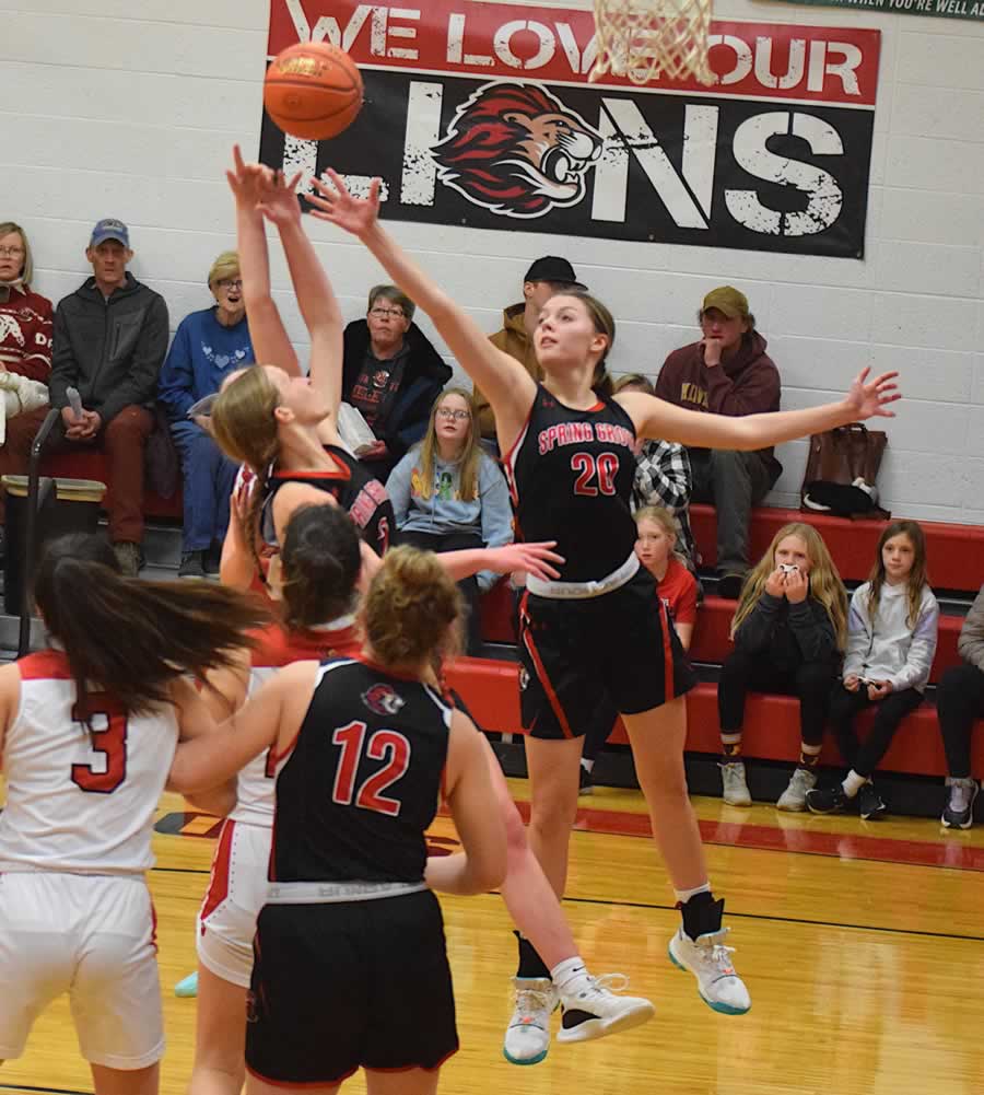 Lion girls fall to Alden-Conger/Glenville-Emmons