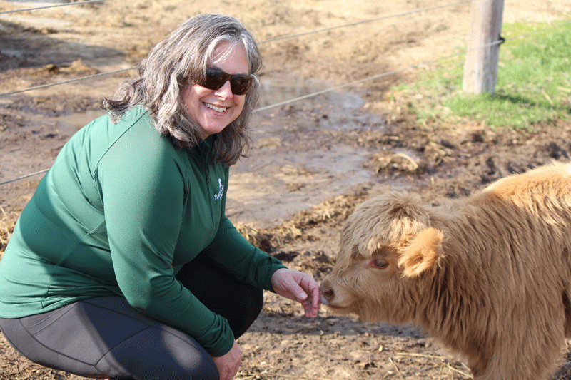 Highland Cattle Flourish at Flatland Farm