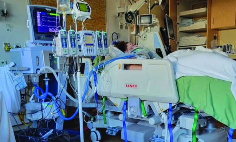 Amazing Grace’s Accident Recovery - Fillmore County Journal