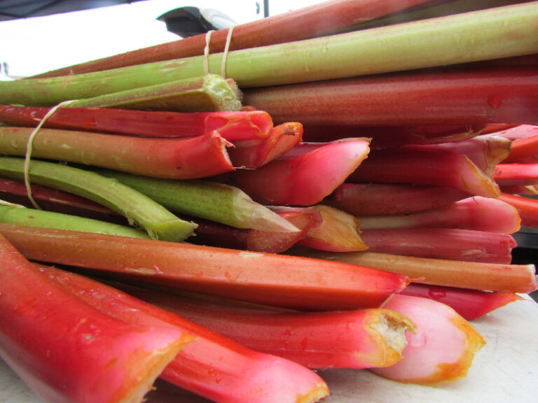 Make a Day of it in Lanesboro at the Rhubarb Festival - Fillmore County ...