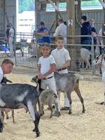 Celebrating the G.O.A.T. Dairy Month with MDGA - Fillmore County Journal