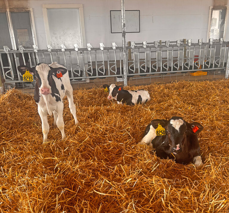 Welcome to Dairy Night on the Farm - Fillmore County Journal